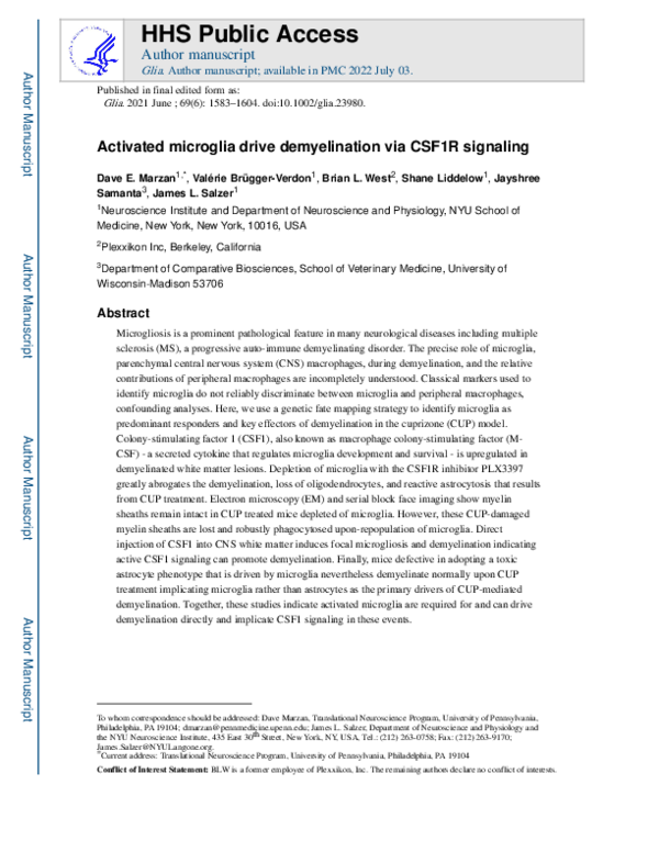 (PDF) Activated microglia drive demyelination via CSF1R signaling