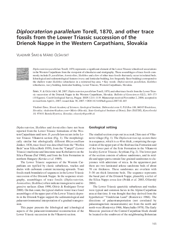 (PDF) Diplocraterion parallelum Torell, 1870, and other trace fossils ...