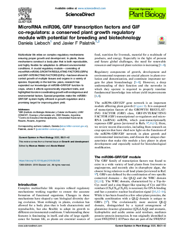 (PDF) MicroRNA miR396, GRF transcription factors and GIF co-regulators ...