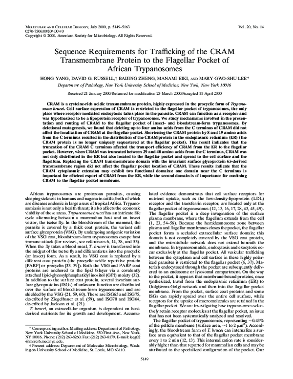(PDF) Sequence Requirements for Trafficking of the CRAM Transmembrane ...