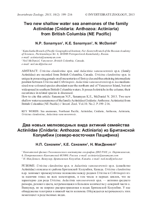 (PDF) Two new shallow water sea anemones of the family Actiniidae ...