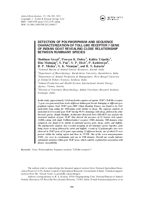 (PDF) Detection of Polymorphism and Sequence Characterization of Toll-Like Receptor 7 Gene of ...