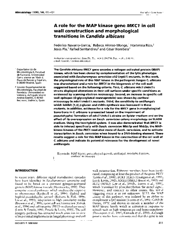 (PDF) A role for the MAP kinase gene MKC1 in cell wall construction and ...