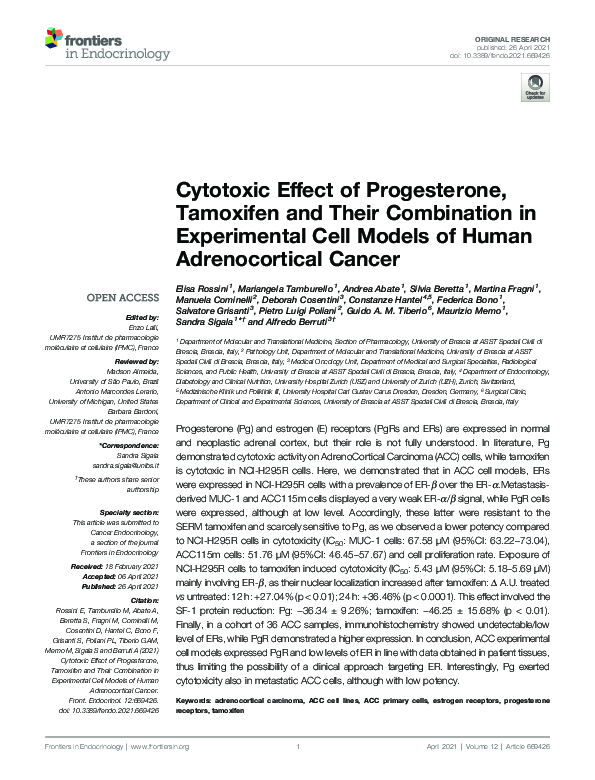 (PDF) Cytotoxic Effect of Progesterone, Tamoxifen and Their Combination ...