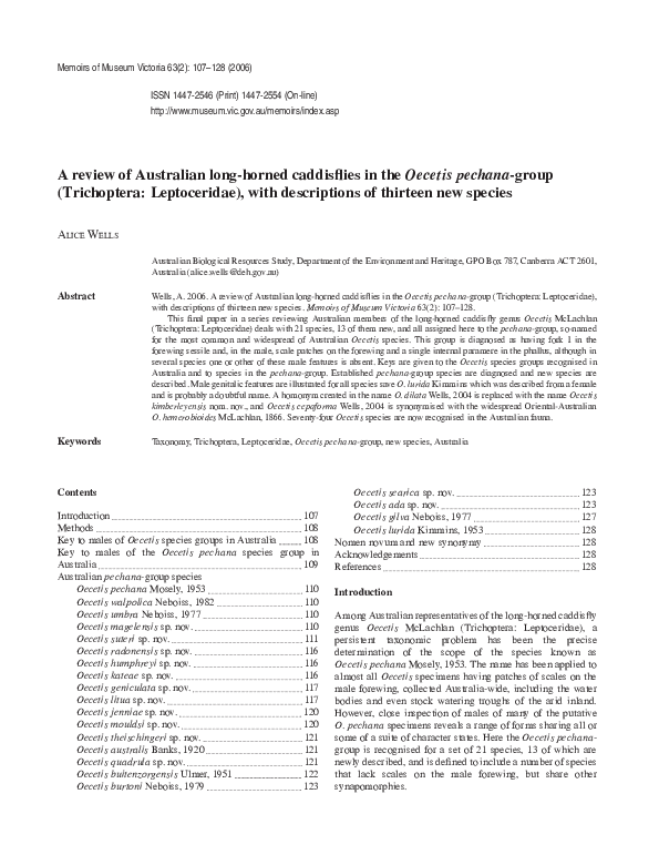 (PDF) A review of Australian long-horned caddisflies in the Oecetis ...