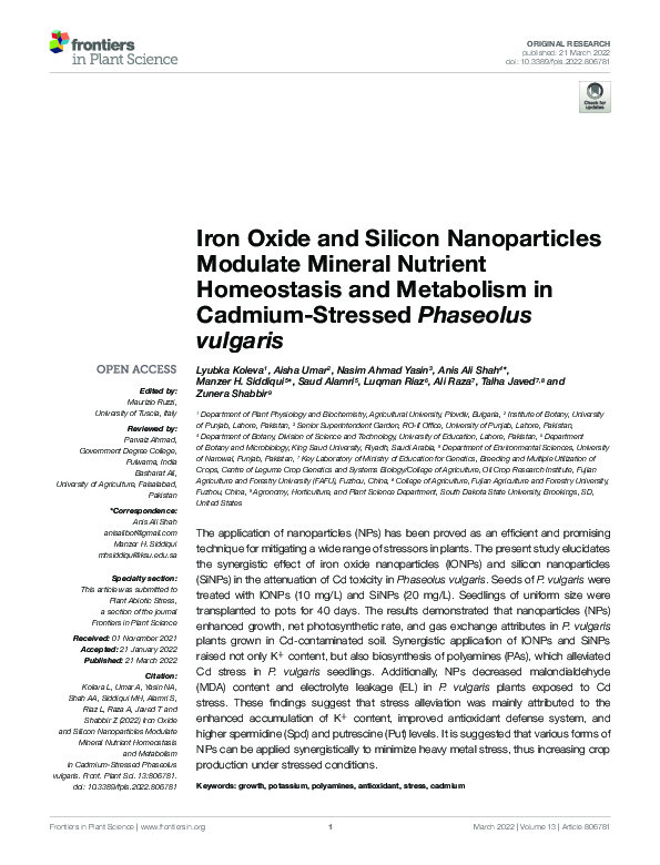 (PDF) Iron Oxide and Silicon Nanoparticles Modulate Mineral Nutrient Homeostasis and Metabolism ...