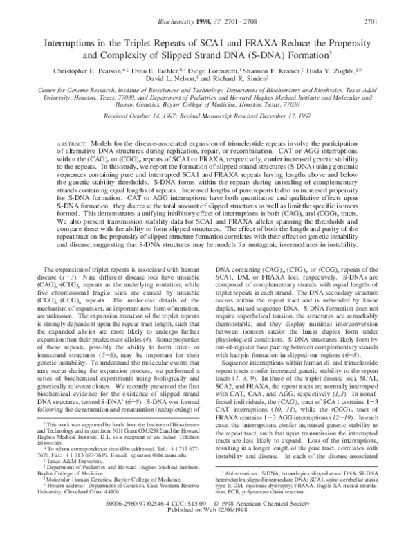 (PDF) Interruptions in the Triplet Repeats of SCA1 and FRAXA Reduce the ...