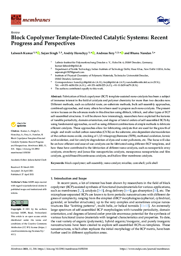 (PDF) Block Copolymer Template-Directed Catalytic Systems: Recent Progress and Perspectives
