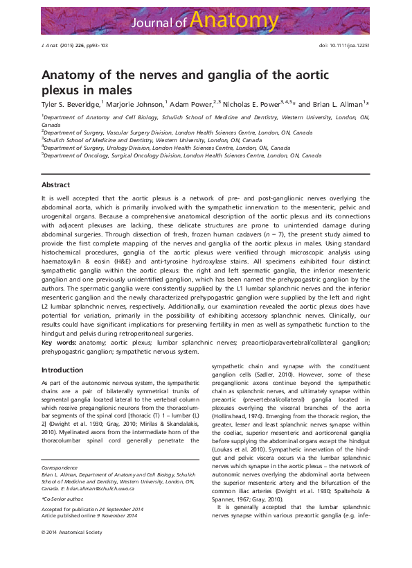 (PDF) Anatomy of the nerves and ganglia of the aortic plexus in males