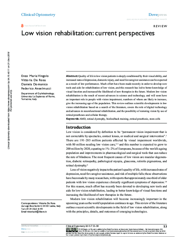 (PDF) Low vision rehabilitation: current perspectives