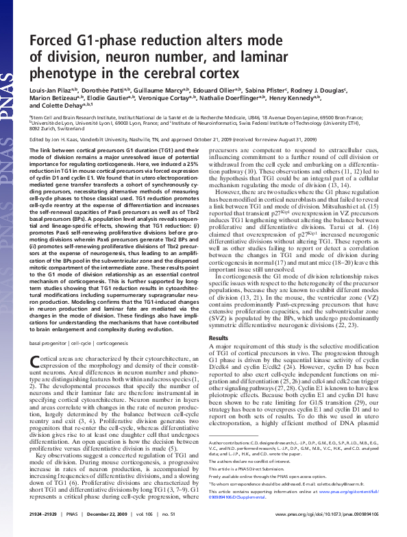 (PDF) Forced G1-phase reduction alters mode of division, neuron number ...