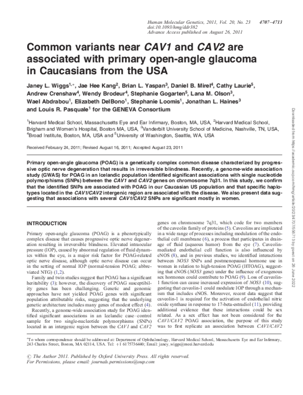(PDF) Common variants near CAV1 and CAV2 are associated with primary open-angle glaucoma in ...
