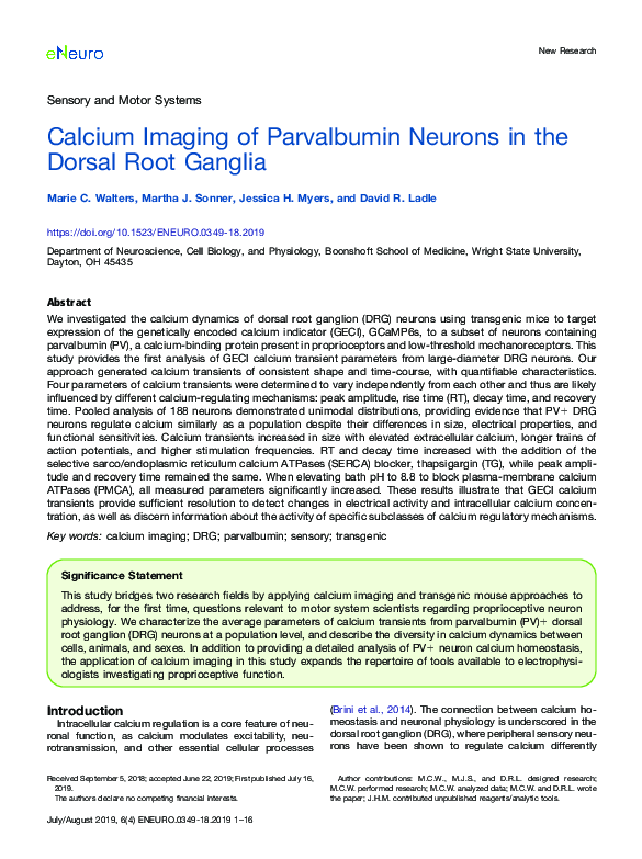 (PDF) Calcium Imaging of Parvalbumin Neurons in the Dorsal Root Ganglia