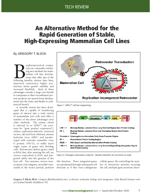(PDF) An Alternative Method for the Rapid Generation of Stable, High ...