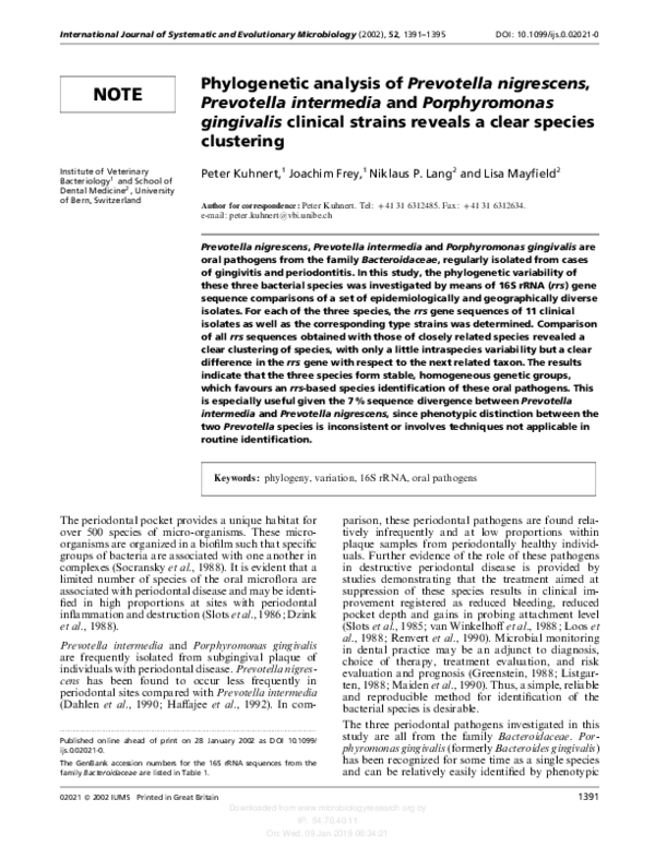 (PDF) Phylogenetic analysis of Prevotella nigrescens, Prevotella ...