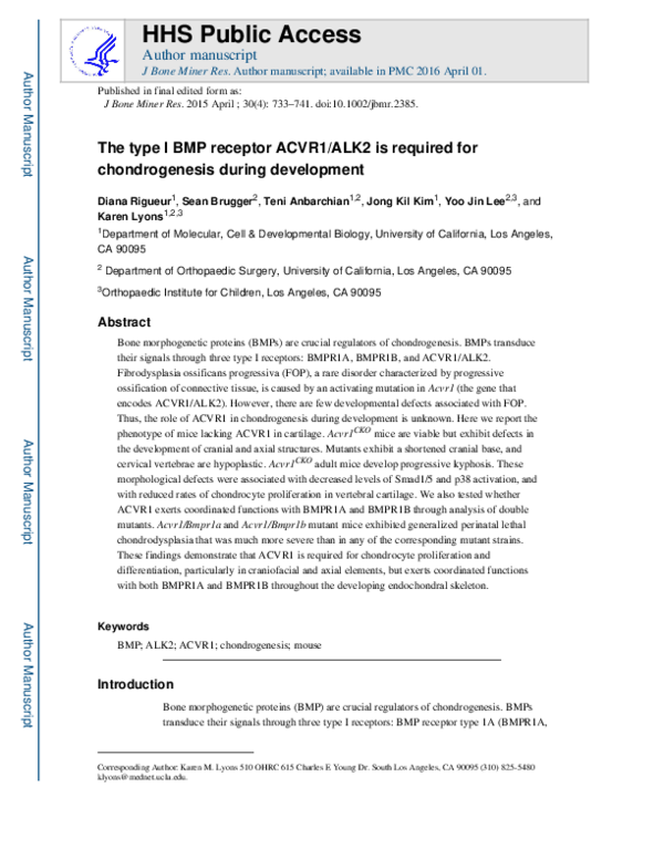 (PDF) The type I BMP receptor ACVR1/ALK2 is required for chondrogenesis ...
