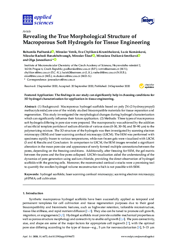(PDF) Revealing the True Morphological Structure of Macroporous Soft ...
