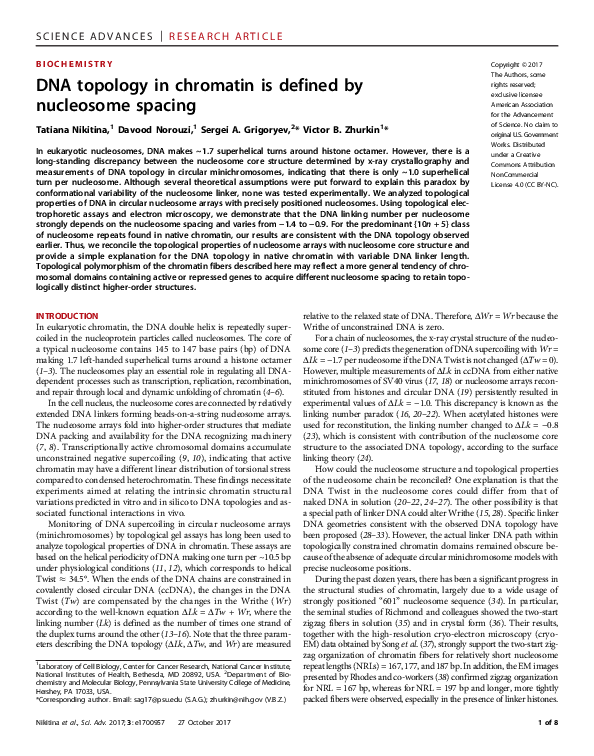(PDF) DNA Topology in Chromatin is Defined by Nucleosome Spacing