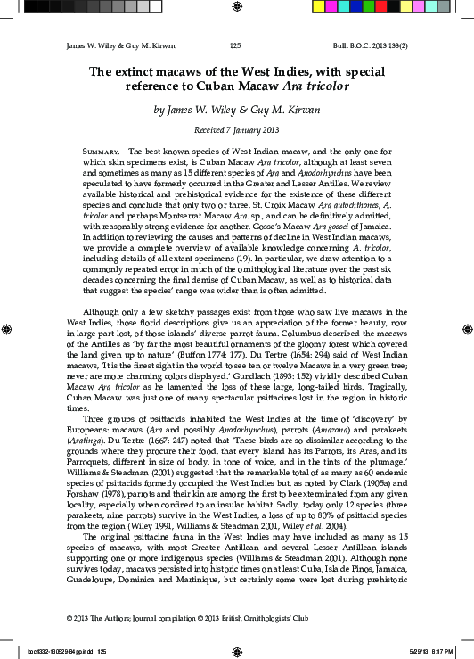 (PDF) The extinct macaws of the West Indies, with special reference to ...