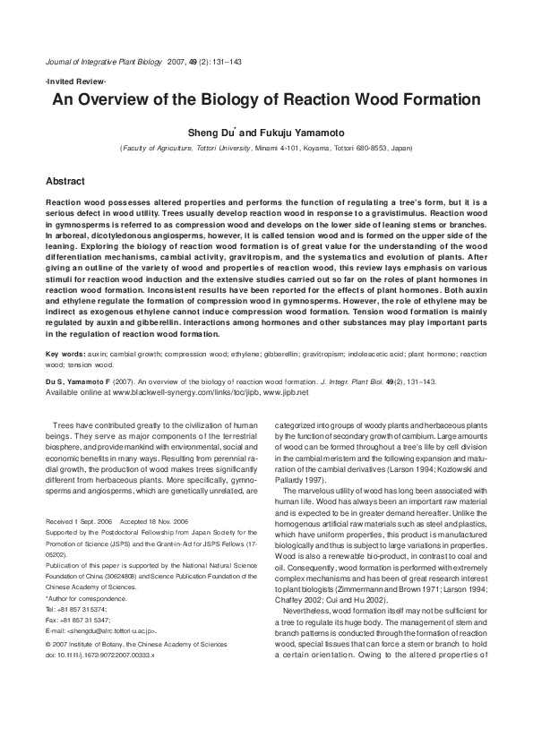 (PDF) An Overview of the Biology of Reaction Wood Formation