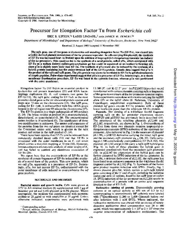 (PDF) Precursor for elongation factor Tu from Escherichia coli