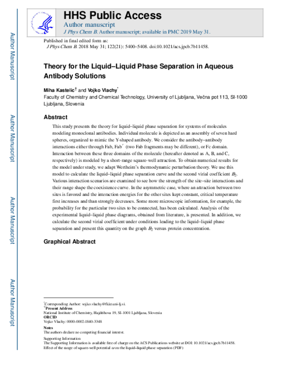 (PDF) Theory for the Liquid–Liquid Phase Separation in Aqueous Antibody ...