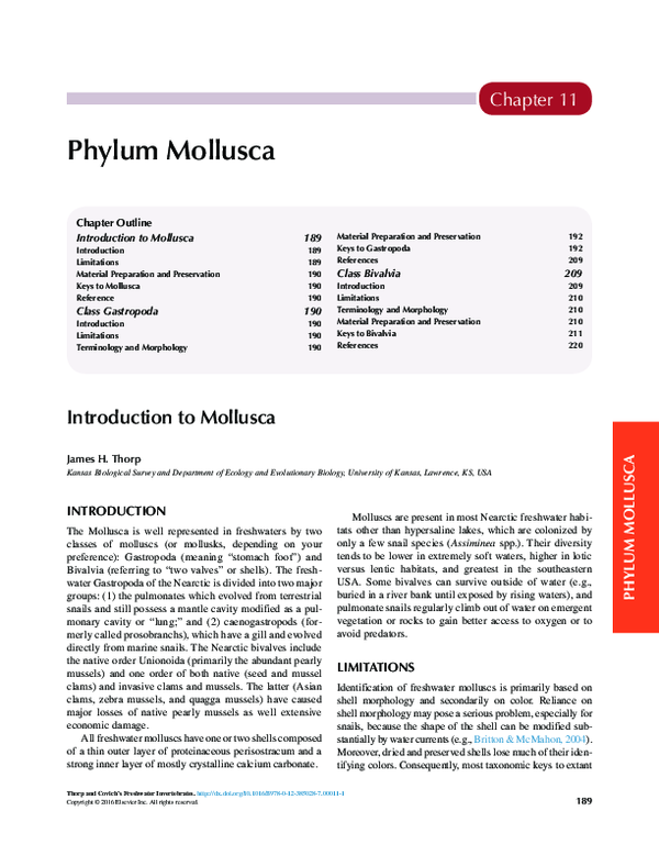 (PDF) Phylum Mollusca