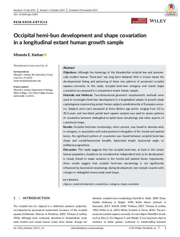(PDF) Occipital hemi‐bun development and shape covariation in a ...