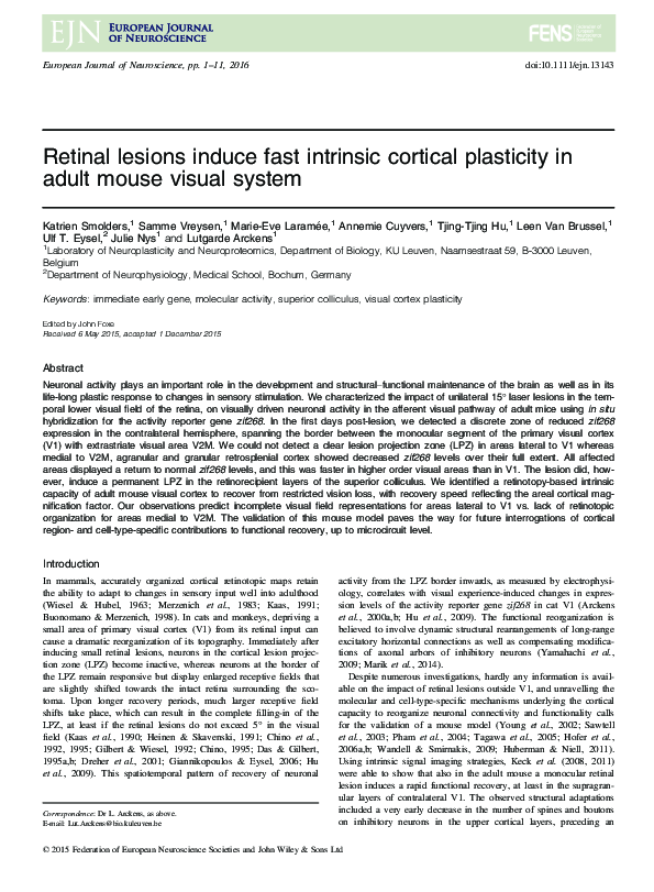 (PDF) Retinal lesions induce fast intrinsic cortical plasticity in ...