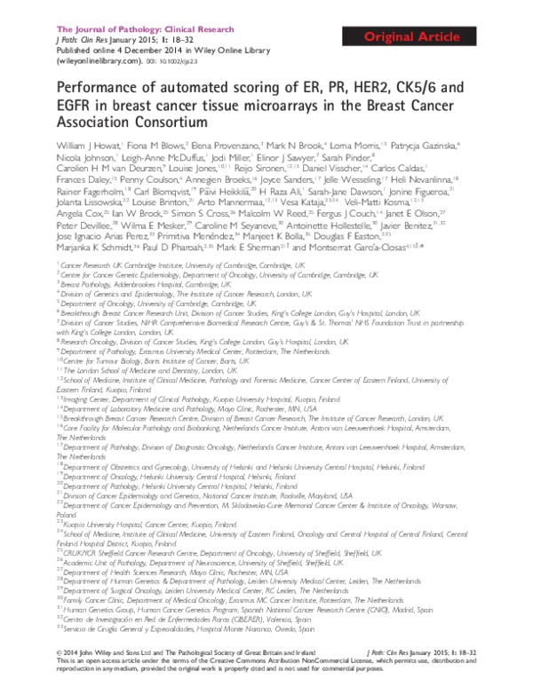 (PDF) Performance of automated scoring of ER, PR, HER2, CK5/6 and EGFR ...