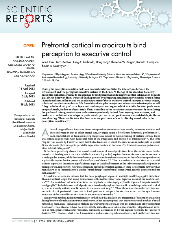 (PDF) Prefrontal cortical microcircuits bind perception to executive control