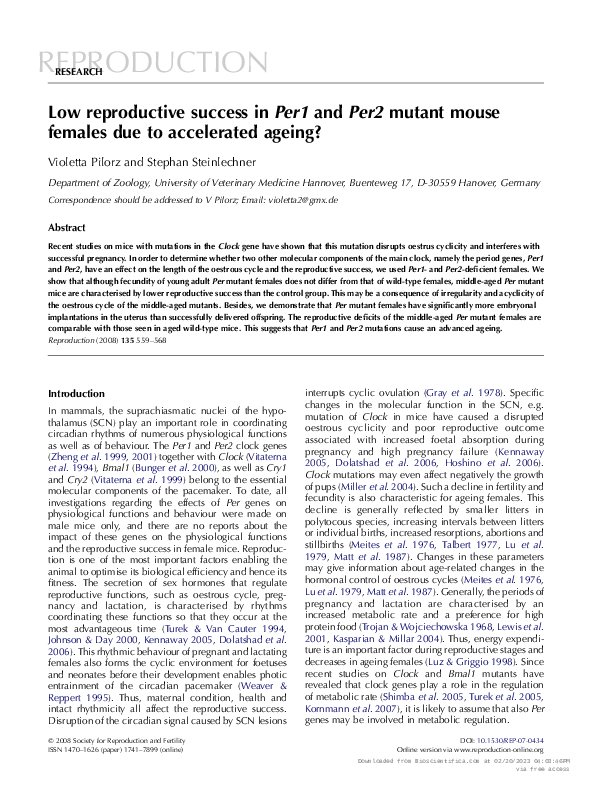 (PDF) Low reproductive success in Per1 and Per2 mutant mouse females ...