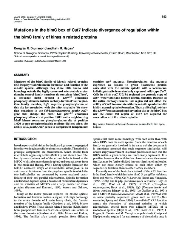 (PDF) Mutations in the bimC box of Cut7 indicate divergence of ...