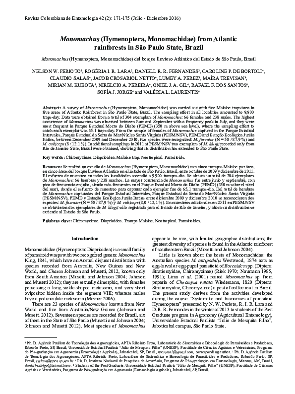 (PDF) Monomachus (Hymenoptera, Monomachidae) from Atlantic rainforests ...