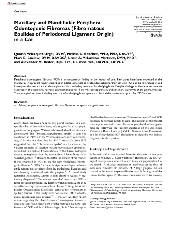(PDF) Maxillary and Mandibular Peripheral Odontogenic Fibromas ...