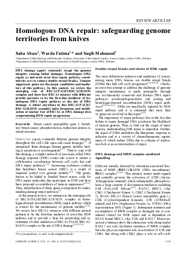 (PDF) Homologous DNA Repair:Safeguarding Genome Territories from Knives