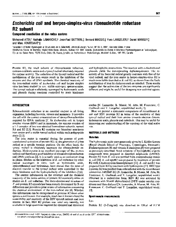 (PDF) Escherichia coli and herpes-simplex-virus ribonucleotide ...
