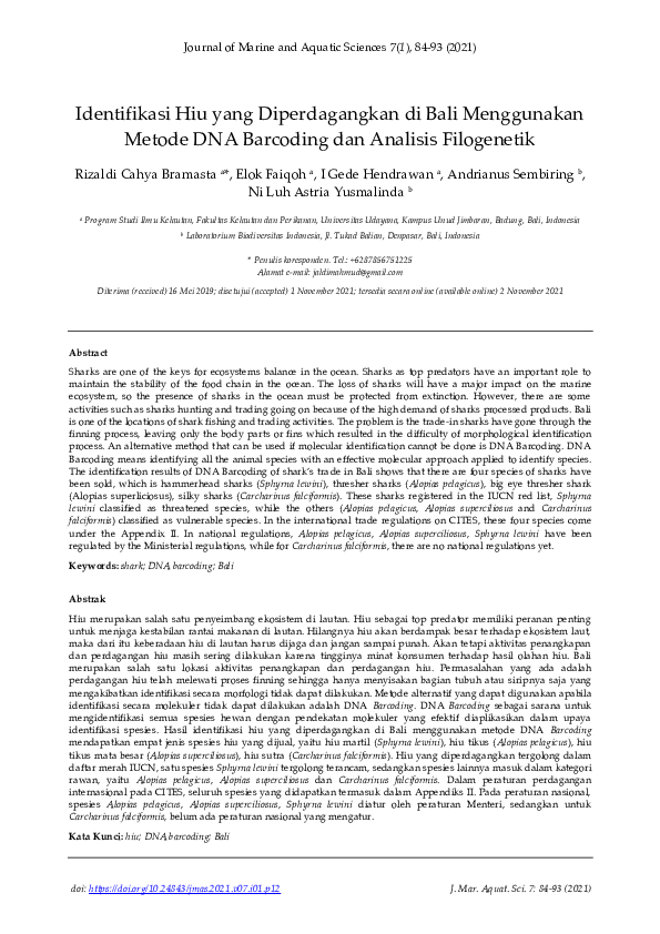 (PDF) Identifikasi Hiu yang Diperdagangkan di Bali Menggunakan Metode ...