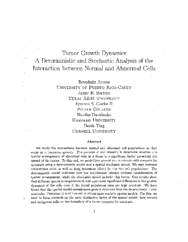 Pdf Tumor Growth Dynamics A Deterministic And Stochastic Analysis Of The Interaction Between