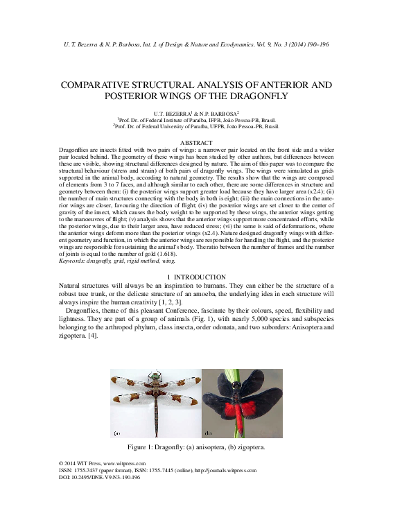 (PDF) Comparative structural analysis of anterior and posterior wings of the dragonfly