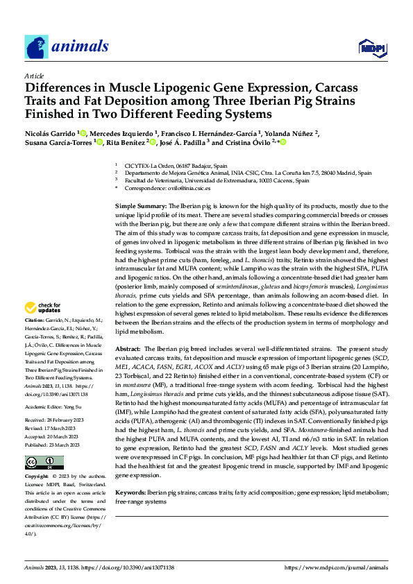 (PDF) Differences in Muscle Lipogenic Gene Expression, Carcass Traits ...