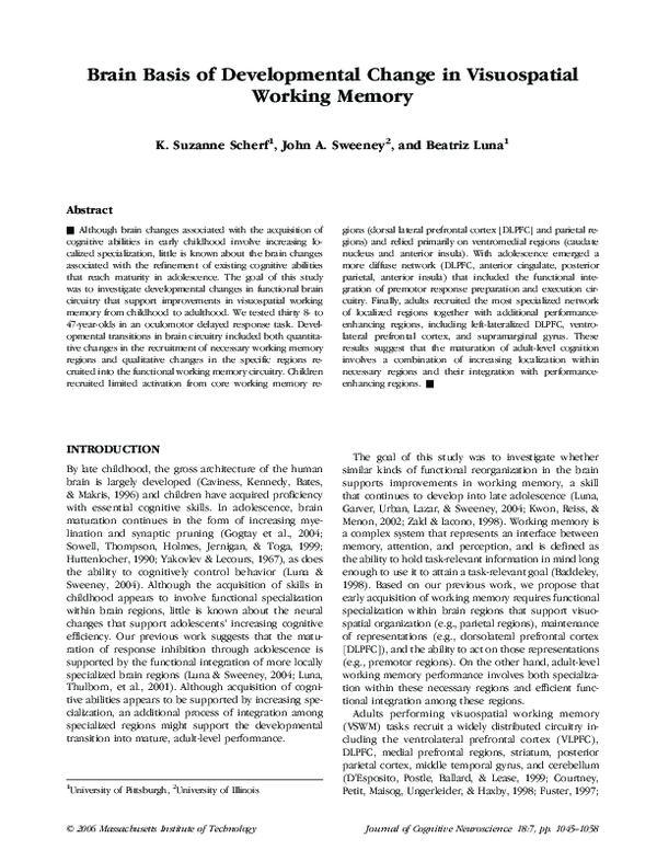(PDF) Brain Basis of Developmental Change in Visuospatial Working Memory