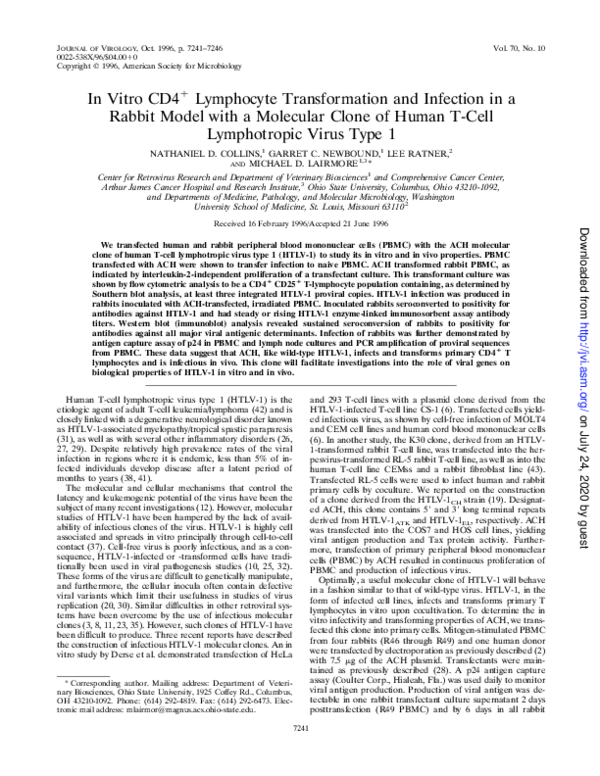 (PDF) In vitro CD4+ lymphocyte transformation and infection in a rabbit ...