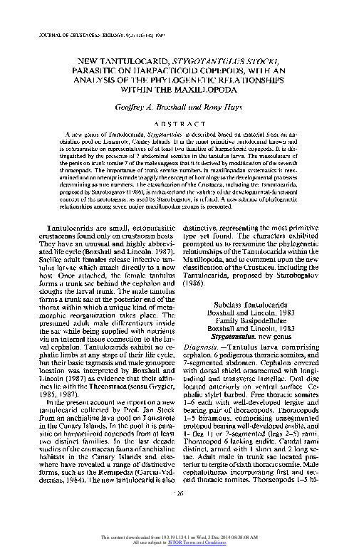 (PDF) New Tantulocarid, Stygotantulus Stocki, Parasitic on Harpacticoid ...
