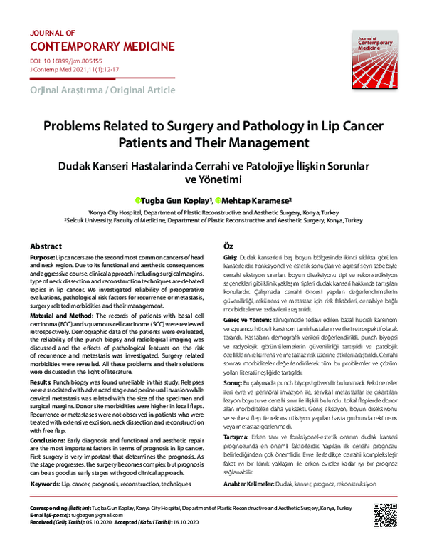 (PDF) Problems Related to Surgery and Pathology in Lip Cancer Patients ...