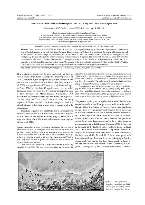 (PDF) Contribution to the Collembola (Hexapoda) fauna of Turkey from ...