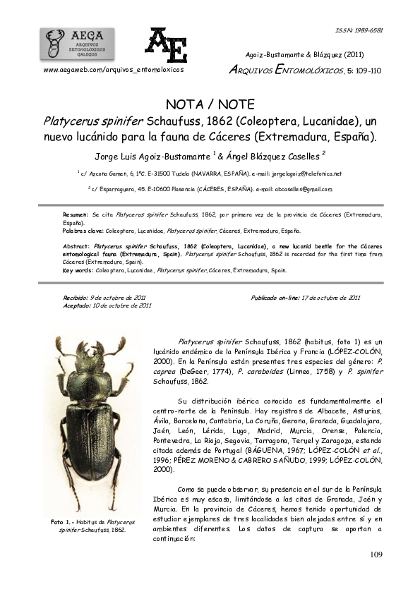 (PDF) Platycerus spinifer Schaufuss, 1862 (Coleoptera, Lucanidae), un ...