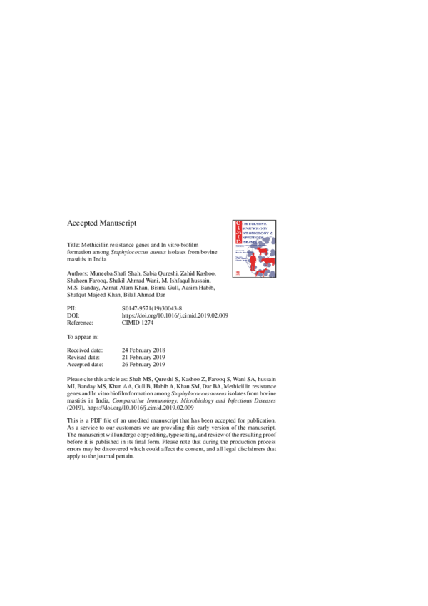 (PDF) Methicillin resistance genes and in vitro biofilm formation among Staphylococcus aureus ...