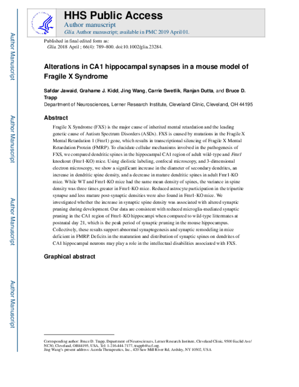(PDF) Alterations in CA1 hippocampal synapses in a mouse model of fragile X syndrome