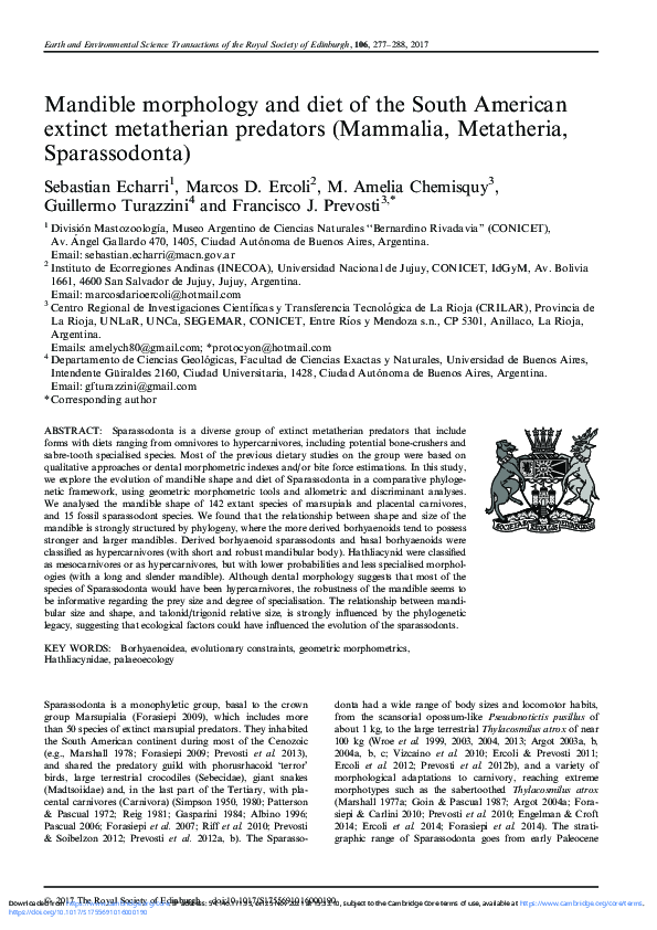 (PDF) Mandible morphology and diet of the South American extinct ...